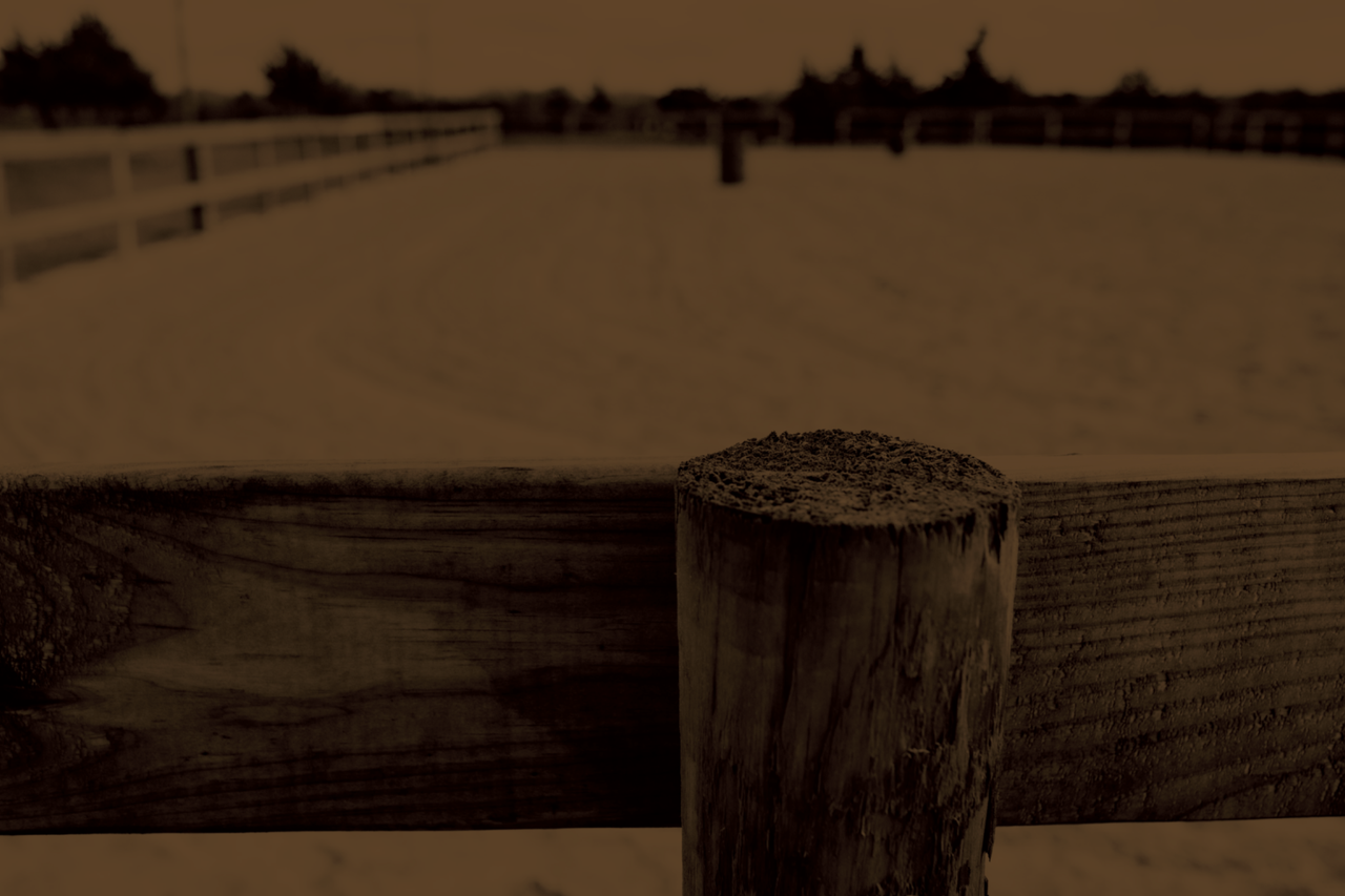 Explore Our Rustic Way Ranch Facility