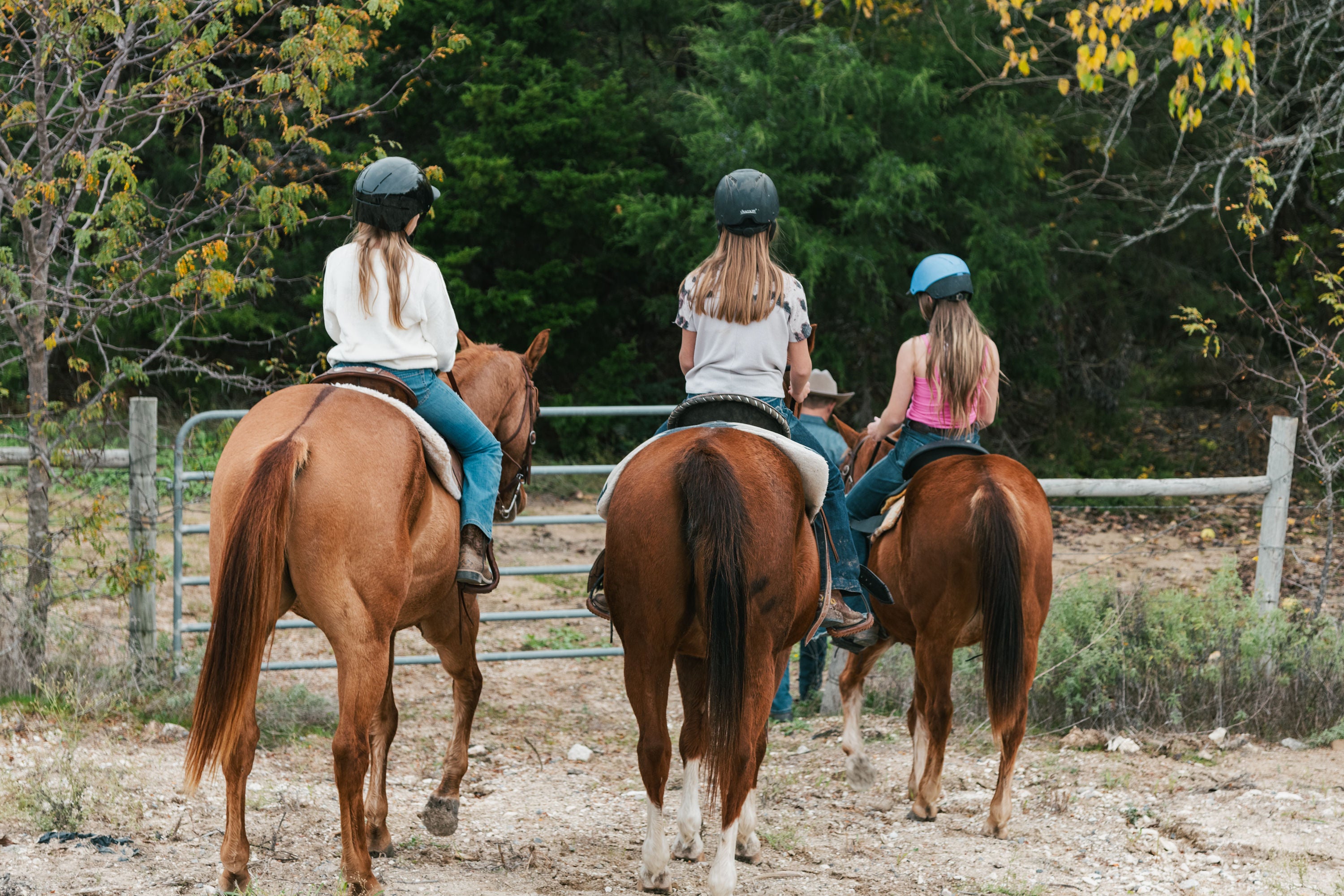 Equine Therapy Program For Teens | Rustic Way Ranch