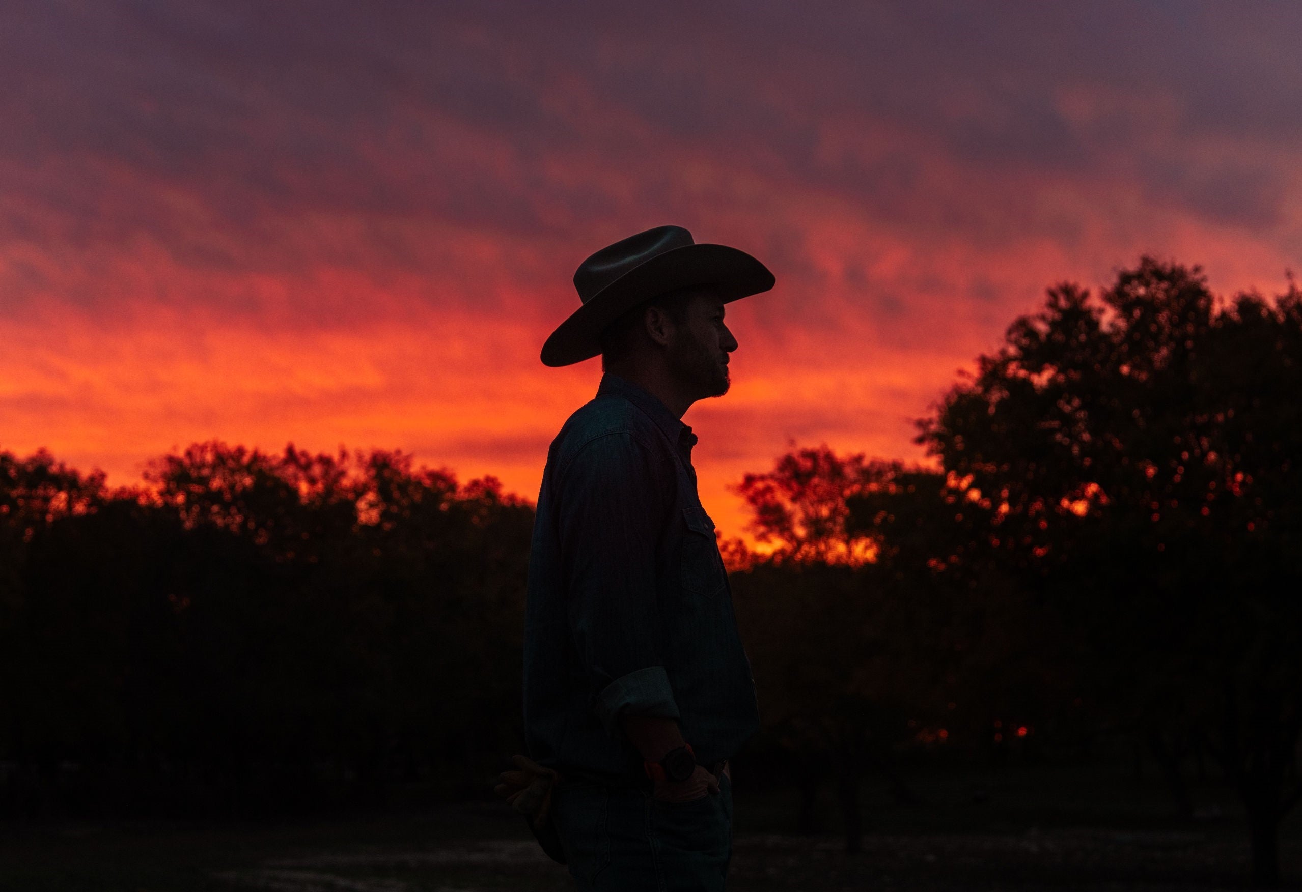 Equine Therapy Program For Teens | Rustic Way Ranch